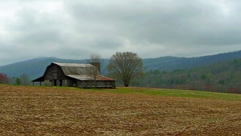 North Carolina Cattlemen